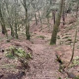 Raw Head Circular, Cheshire, England - 294 Reviews, Map | AllTrails