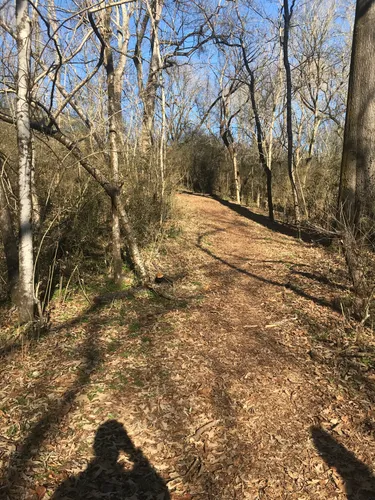Best Hikes and Trails in Canton | AllTrails