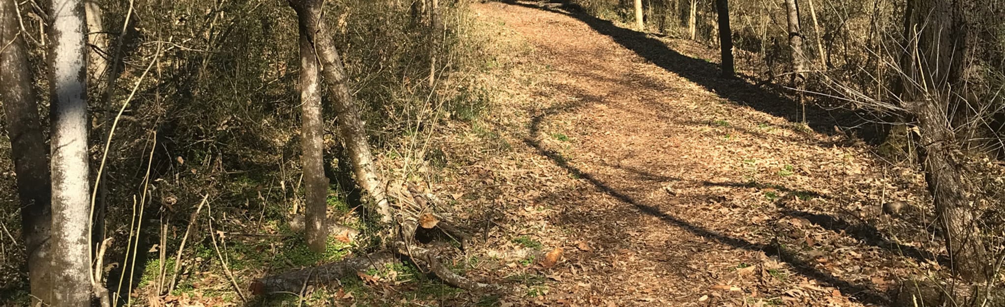 Hickory Trails Park Loop: 36 Reviews, Map - Georgia | AllTrails