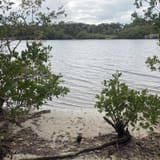 Lemon Bay Preserve Loop, Florida - 600 Reviews, Map | AllTrails