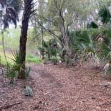 Lemon Bay Preserve Loop, Florida - 600 Reviews, Map | AllTrails