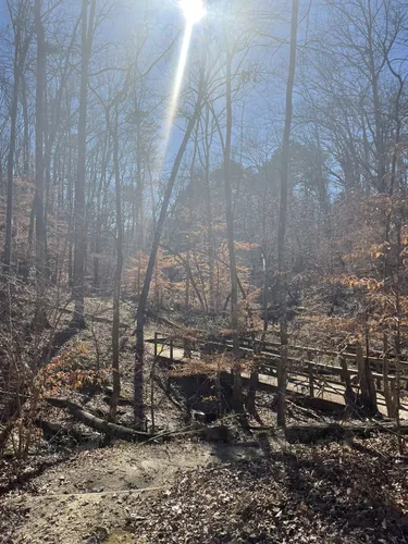 Best Hikes and Trails in Charlie Elliott Wildlife Center | AllTrails