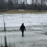 Gring's Mill Trail, Pennsylvania - 857 Reviews, Map | AllTrails