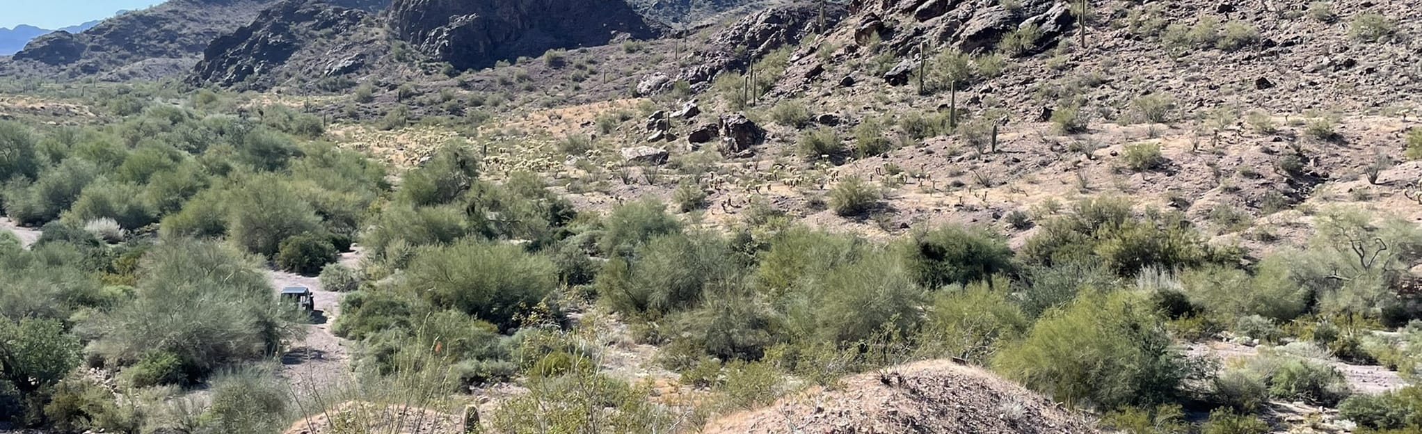 Kofa Dam, Arizona - 8 Reviews, Map | AllTrails