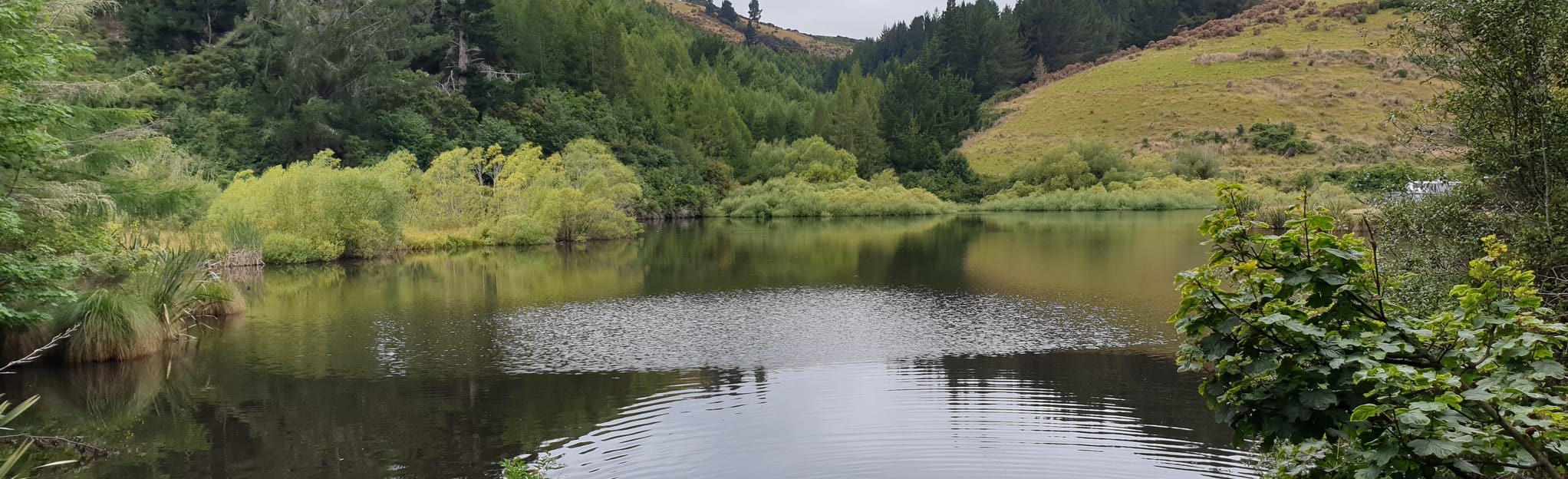 Otago Dam Track, Otago, New Zealand - 5 Reviews, Map | AllTrails