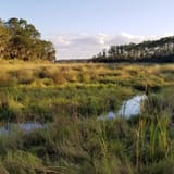 Bulow Woods Hiking Trail, Florida - 204 Reviews, Map | AllTrails