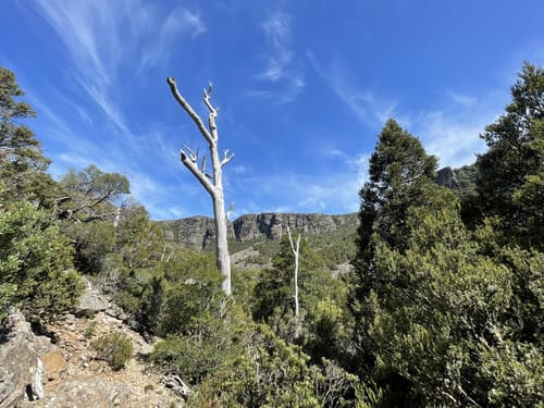 Best 10 Hikes and Trails in Meander Conservation Area | AllTrails