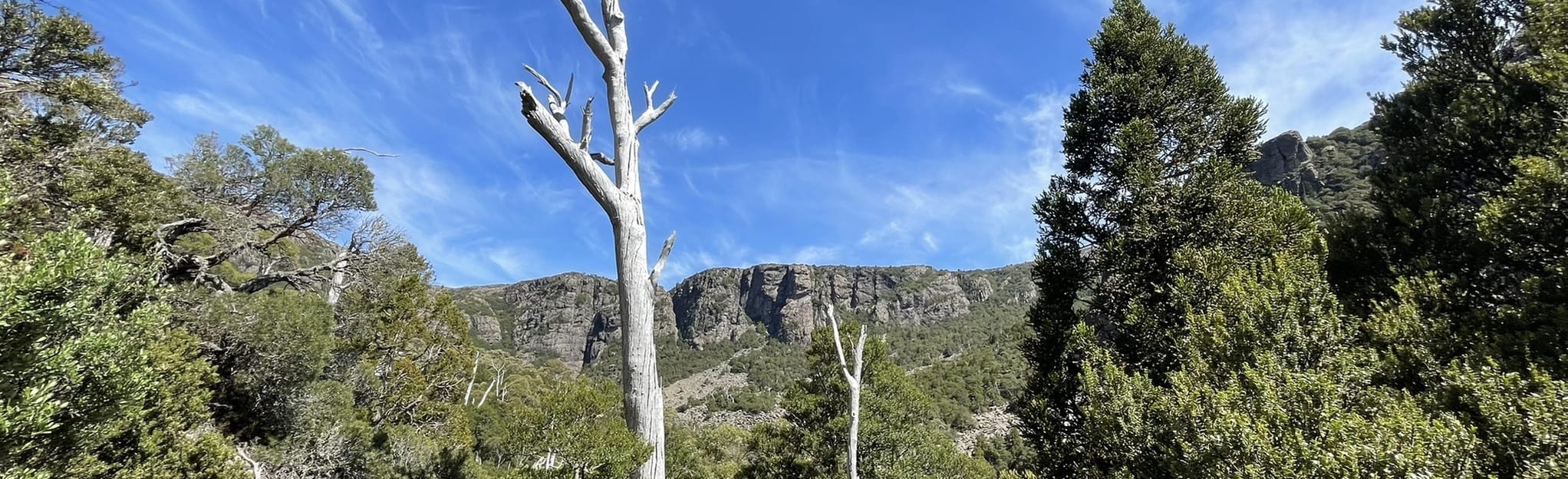 Meander Falls Gorge, Tasmania, Australia - 119 Reviews, Map | AllTrails