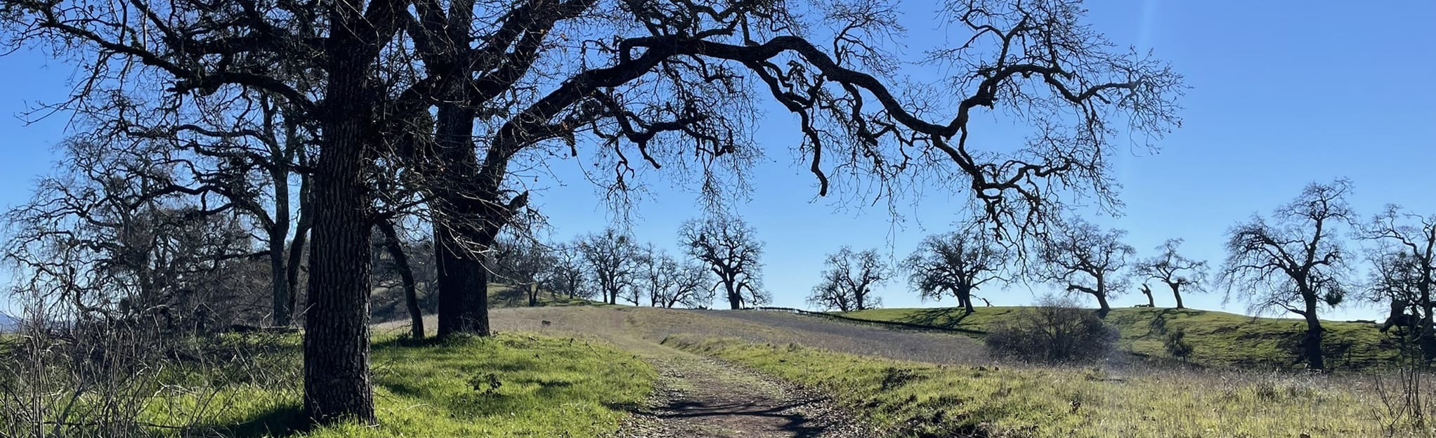 Dutch Flat Trail to San Felipe Trail Loop: 238 Reviews, Map ...