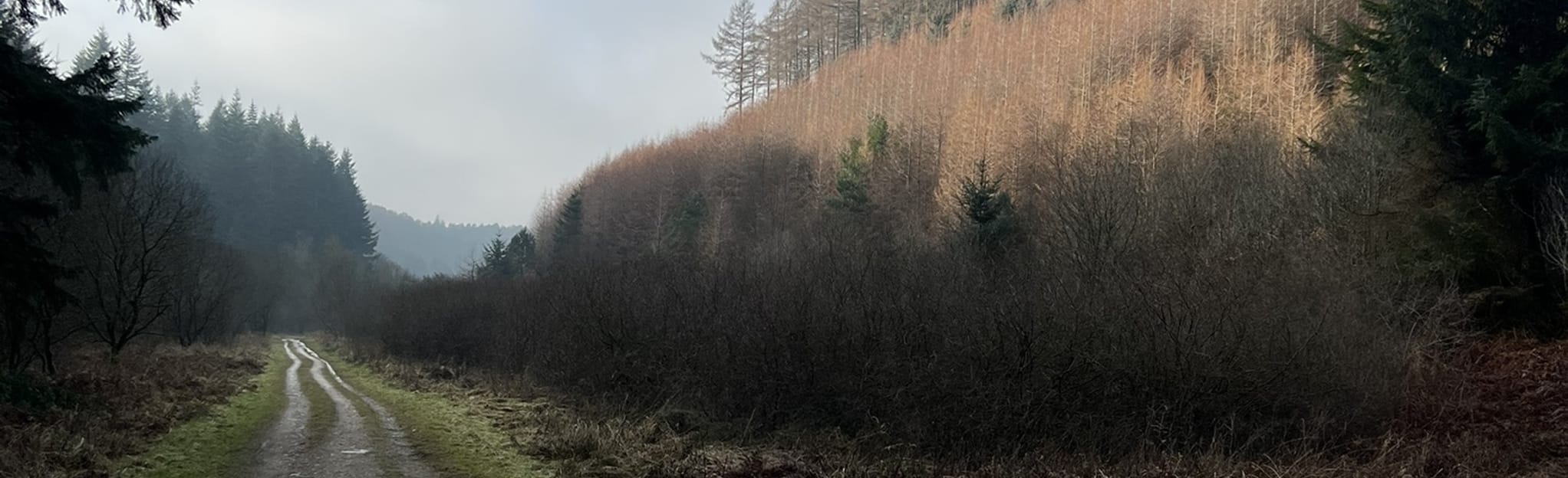 New Riding Forest Park Red Route Circular - North Yorkshire, England ...