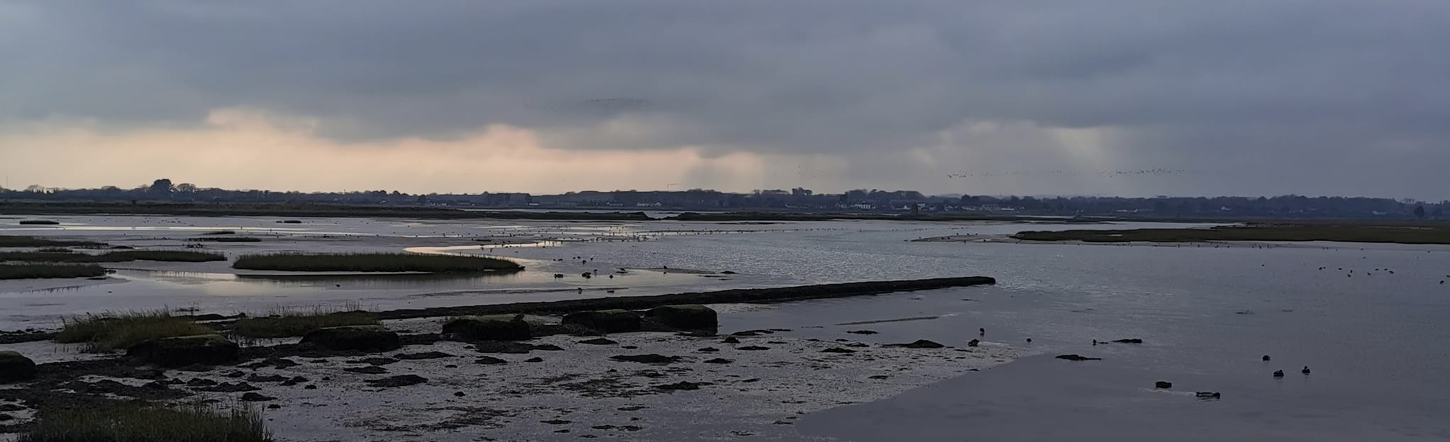 Baltray Beach Loop, County Louth, Ireland - 19 Reviews, Map | AllTrails