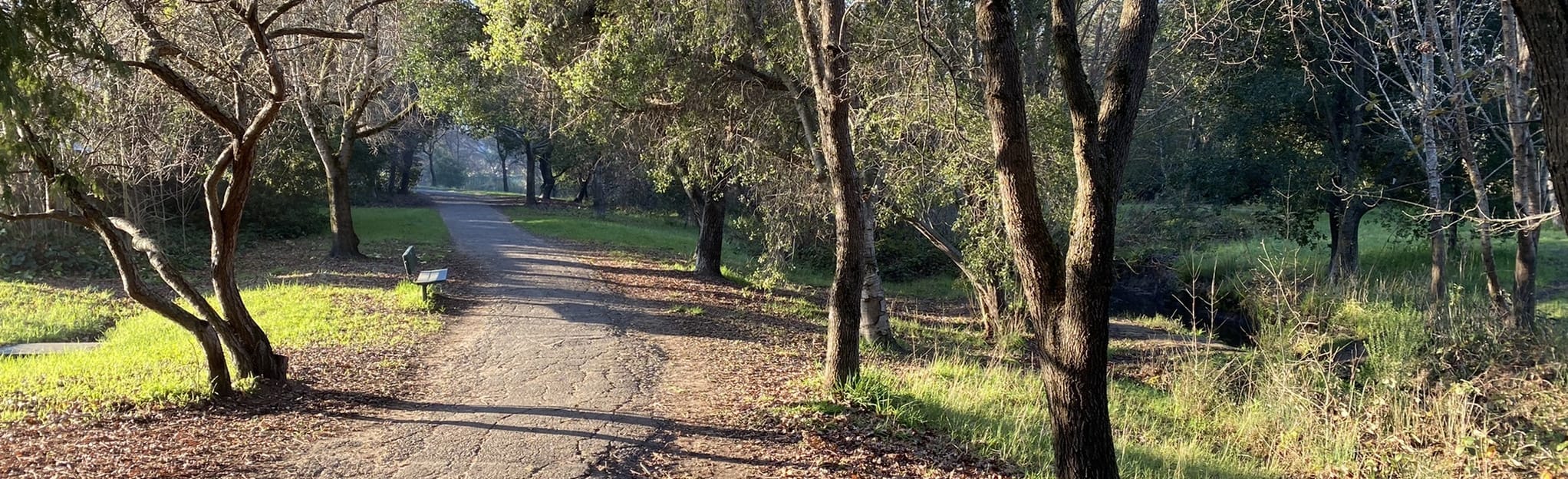 Westridge Park Open Space Loop, California - 55 Reviews, Map | AllTrails