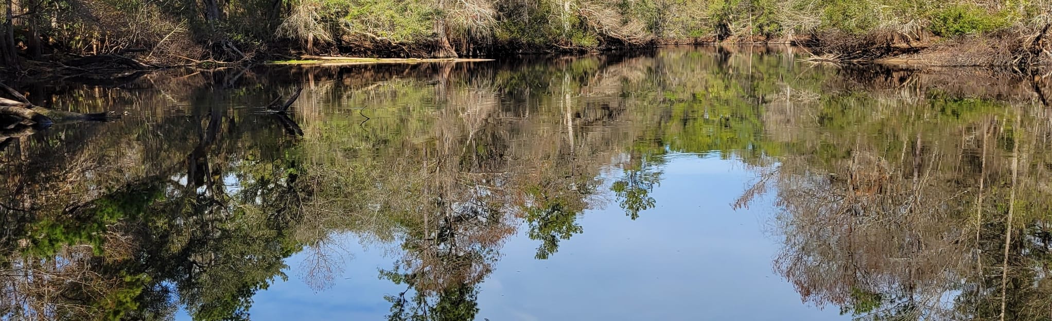 Oxbow Trail, Florida - 93 Reviews, Map | AllTrails