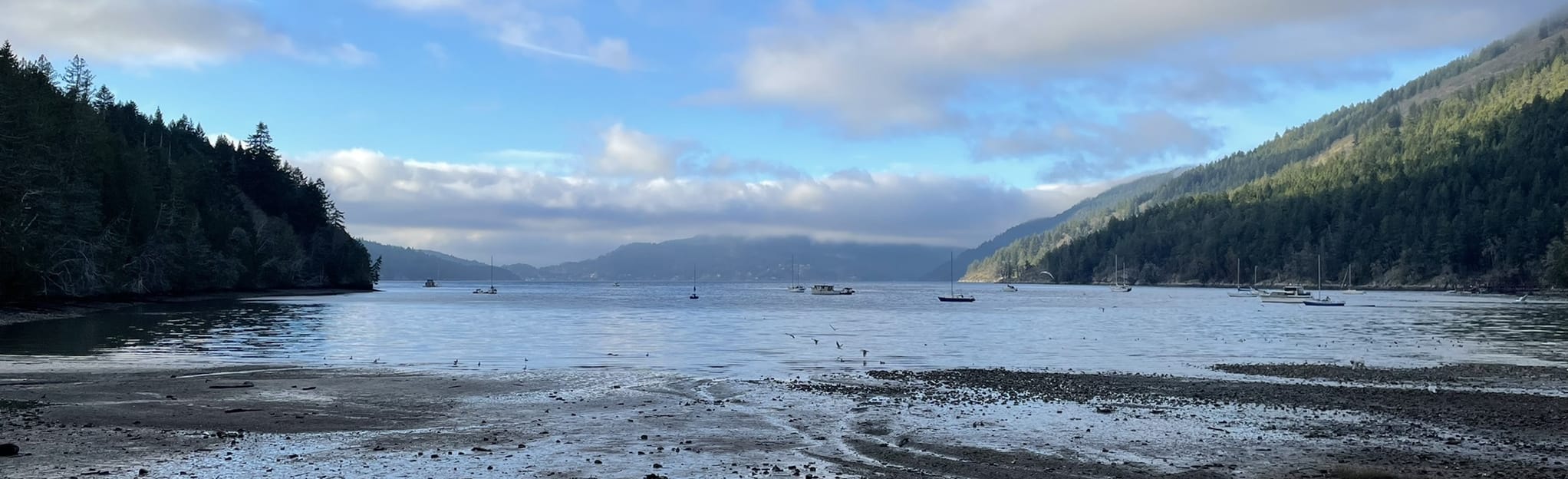 Burgoyne Bay Multi-Use Loop, British Columbia, Canada - 22 Reviews, Map ...