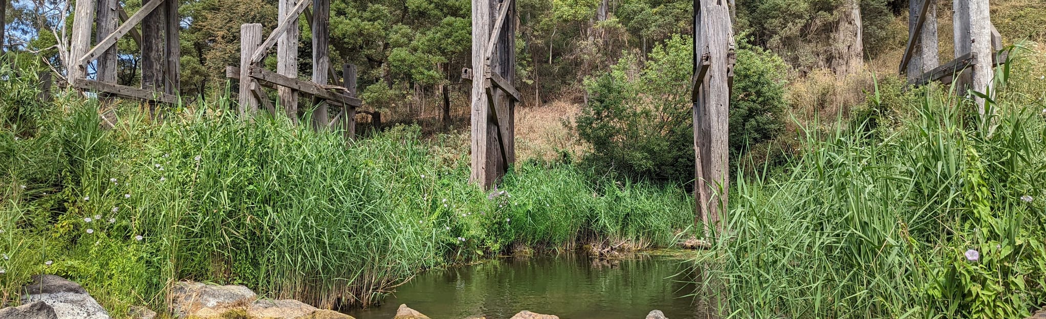 Timboon - Trestle Bridge Return: 39 Reviews, Map - Victoria, Australia ...