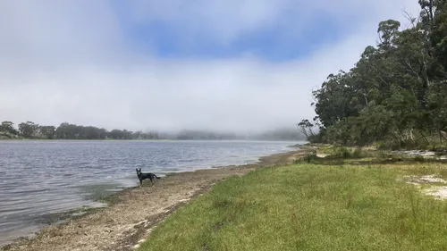 Best Hikes and Trails in Lake Tyers State Park | AllTrails