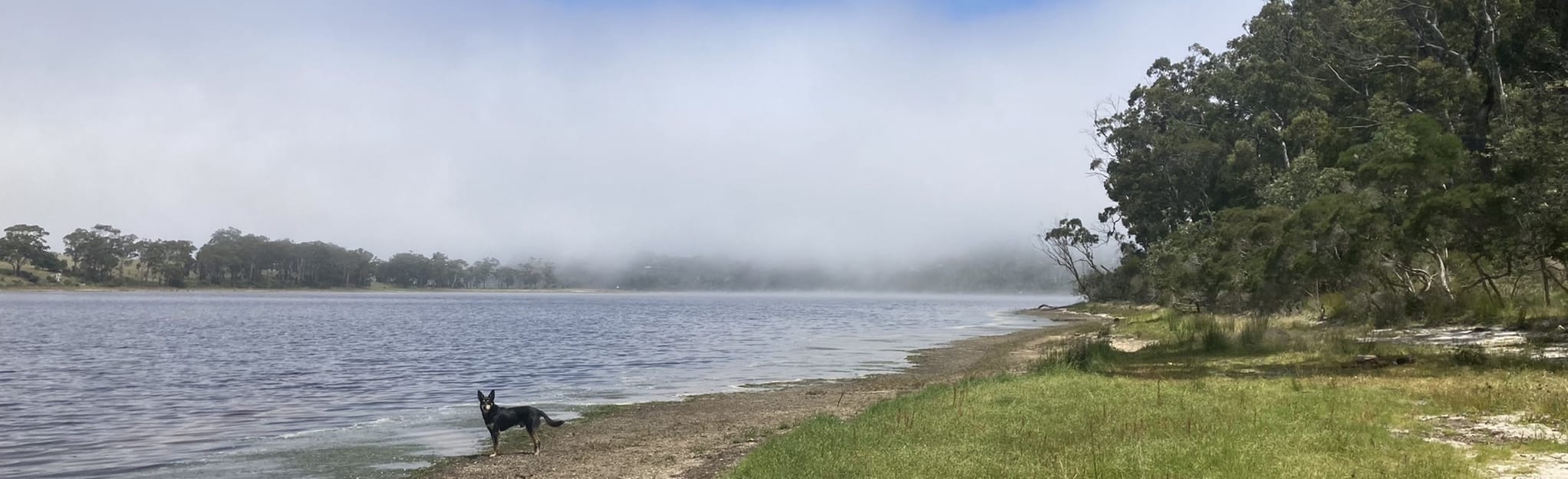 Lonely Bay Walk: 3 Reviews, Map - Victoria, Australia | AllTrails