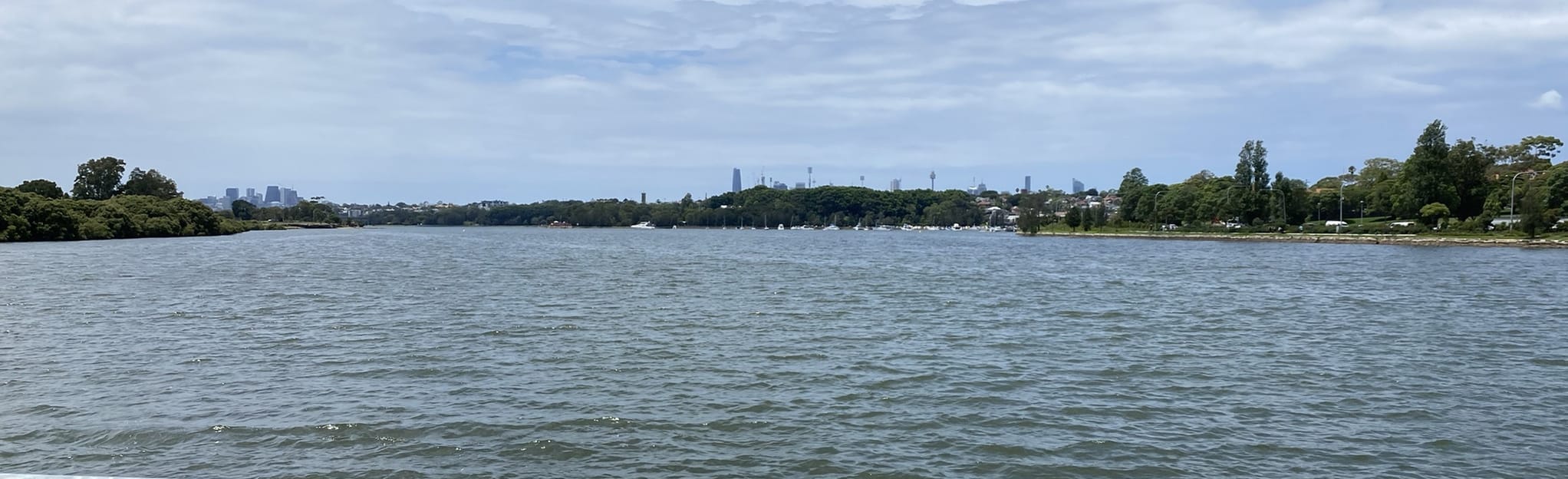 Timbrell Park Loop: 3 Reviews, Map - New South Wales, Australia | AllTrails