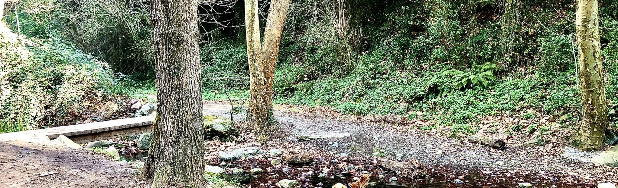 Cardedeu - Cànoves - Serrat de la Baga, Barcelona, Spain - 3 Reviews ...