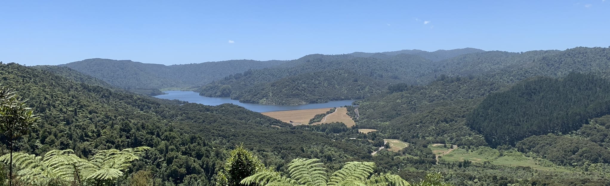 Mangatawhiri Challenge Track: 7 Reviews, Map - Auckland, New Zealand ...