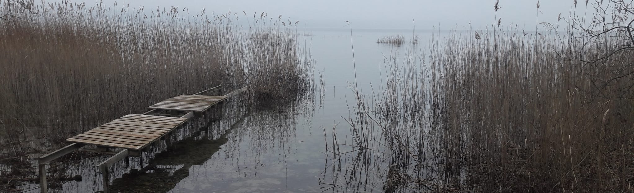 Faoug - Villarepos via Lac de Morat/ Lake Murten: 3 Reviews, Map - Vaud ...