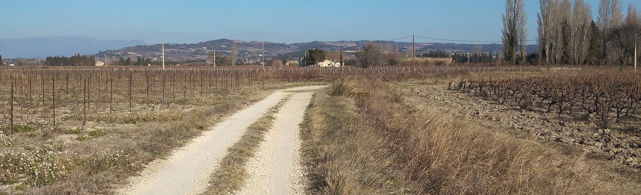 Tulette Vineyard Tour: 16 foto's - Drôme, Frankrijk | AllTrails