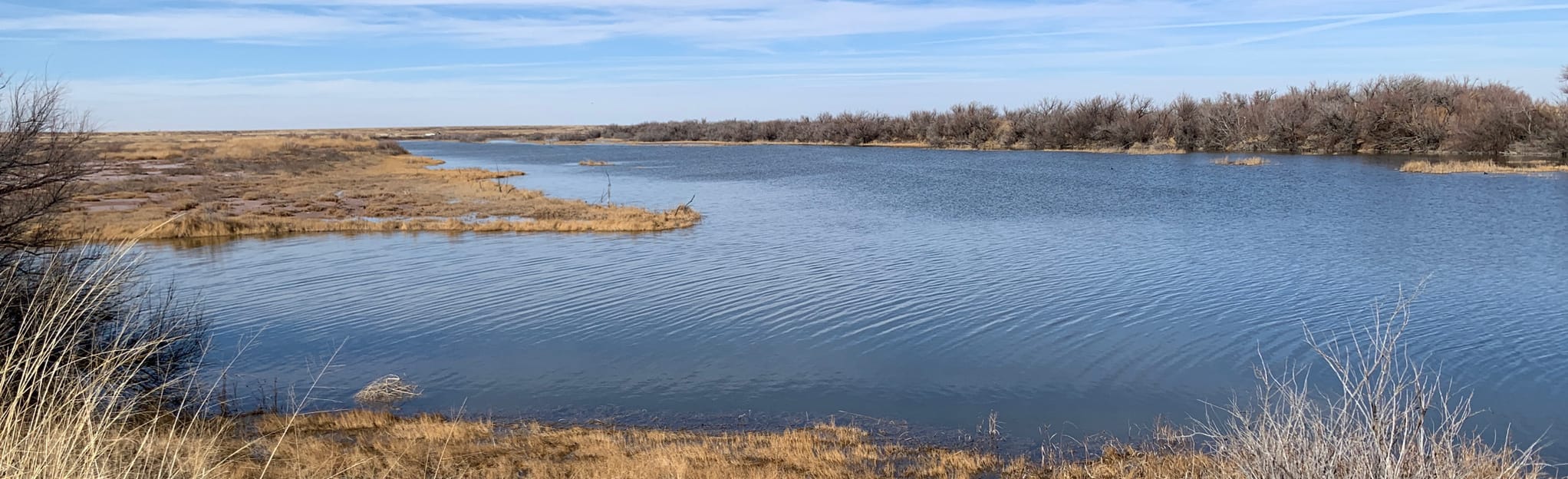 Oxbow Trail: 111 Reviews, Map - New Mexico | AllTrails