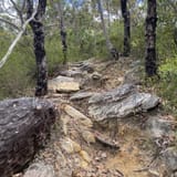 Kirrawee Bushwalk, New South Wales, Australia - 136 Reviews, Map ...