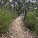Kirrawee Bushwalk, New South Wales, Australia - 136 Reviews, Map ...