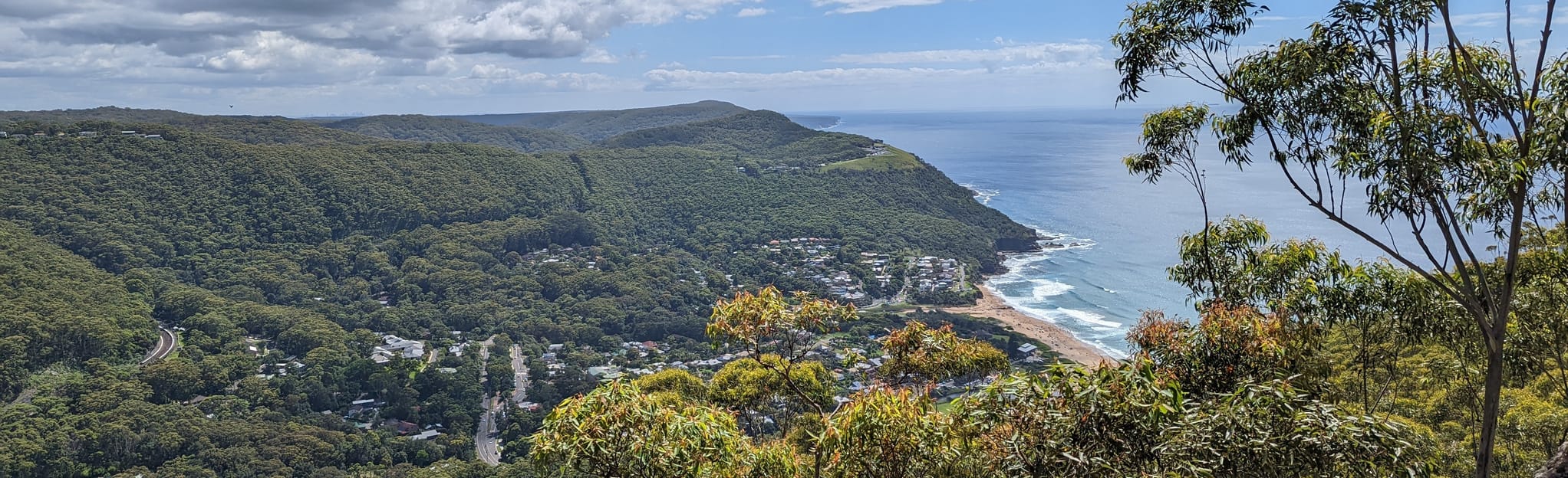 Forest Path Loop | Map, Guide - New South Wales, Australia | AllTrails