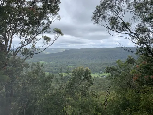 10 Best Hikes and Trails in Watagans National Park | AllTrails