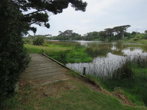 Best Walking Trails in Opunake | AllTrails