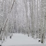 Soapstone Basin OHV Trail, Utah - 101 Reviews, Map | AllTrails