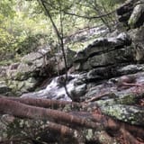 Mt Coot-tha Summit Track, Queensland, Australia - 409 Reviews, Map ...