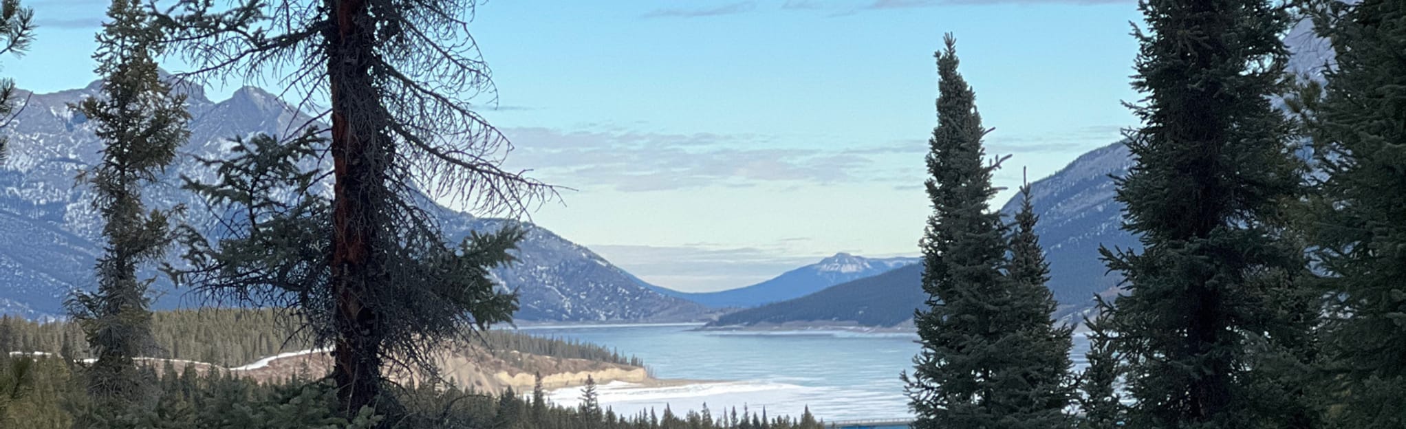 Cline River Trail: 311 Reviews, Map - Alberta, Canada | AllTrails