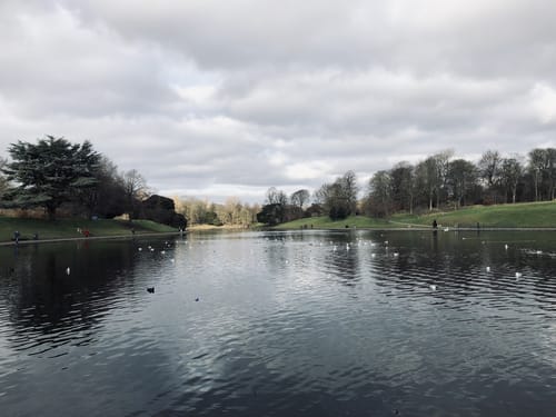 2023 Best 10 Walking Trails in Liverpool | AllTrails