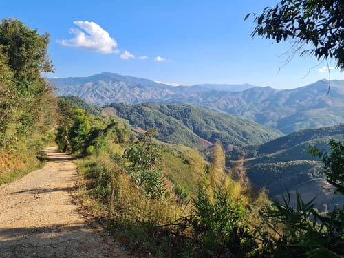 2023 Best 10 Forest Trails in Doi Phu Kha National Park | AllTrails