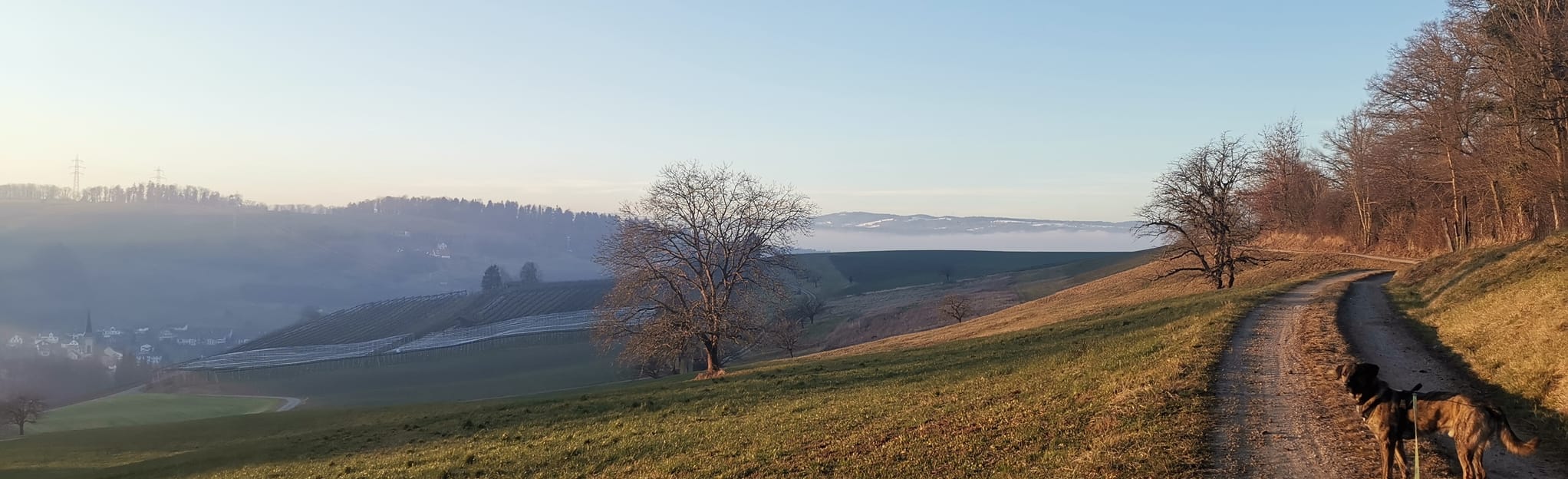 Sulz - Schlatt - Leidikon: 11 Fotos - Aargau, Schweiz | Wandern | AllTrails
