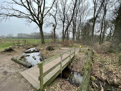 Best Partially Paved Trails in De Maashorst | AllTrails