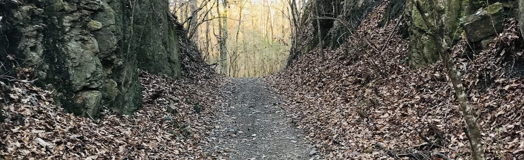 AllTrails | Helena Buck Creek Trail: 45 Reviews, Map - Alabama