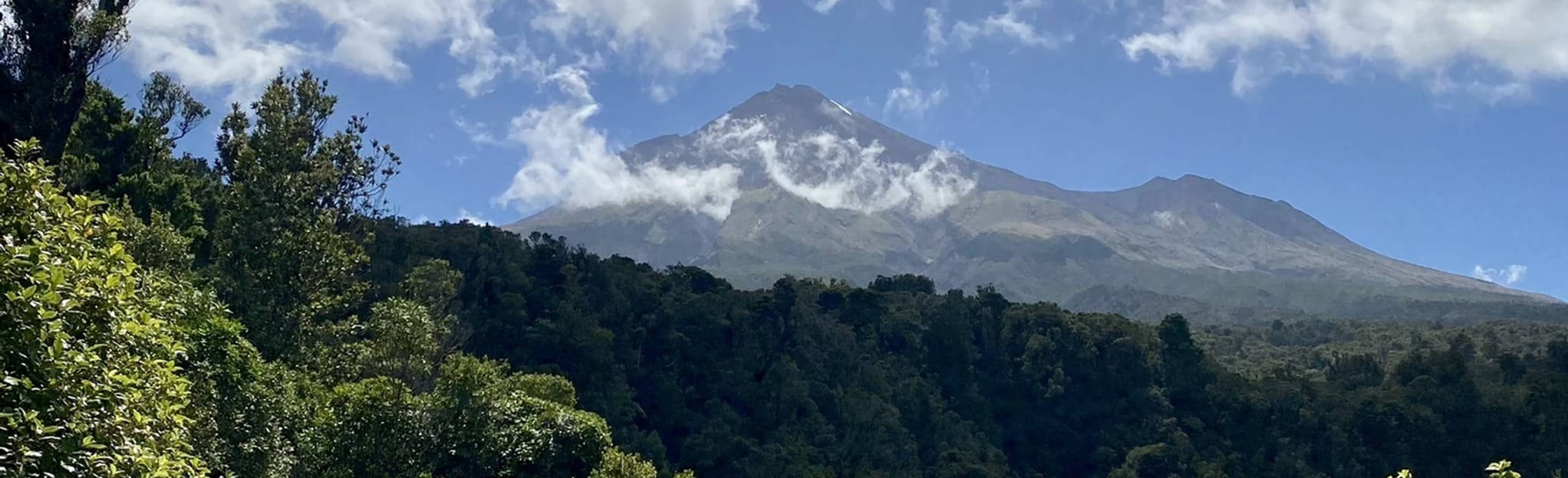 Ihaia Track to Waiaua Gorge Hut: 13 Reviews, Map - Taranaki, New ...