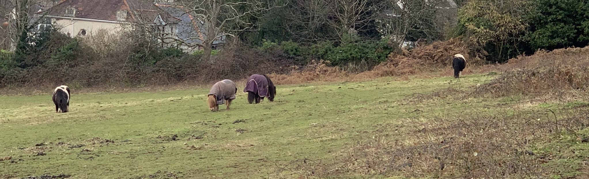 Ebbw River and Tredegar Park Circular: 15 Reviews, Map - Newport, Wales ...