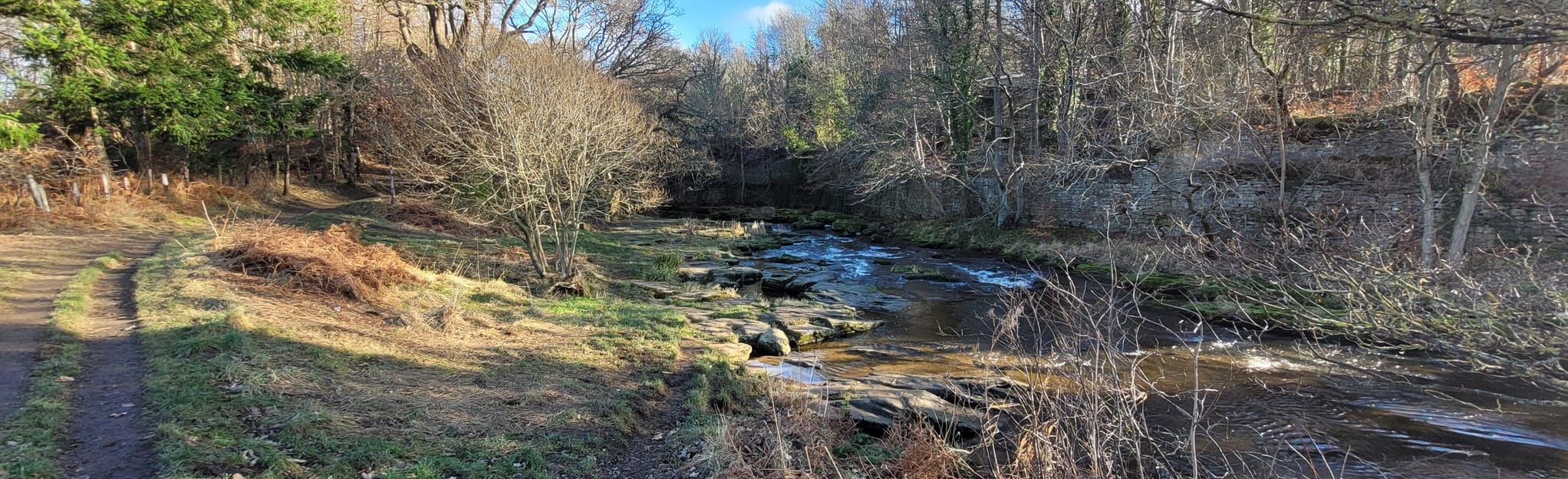 River Derwent and Allensford Park Circular: 79 Fotos - County Durham ...