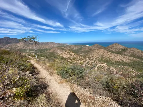 10 Best Trails and Hikes in Los Cabos | AllTrails