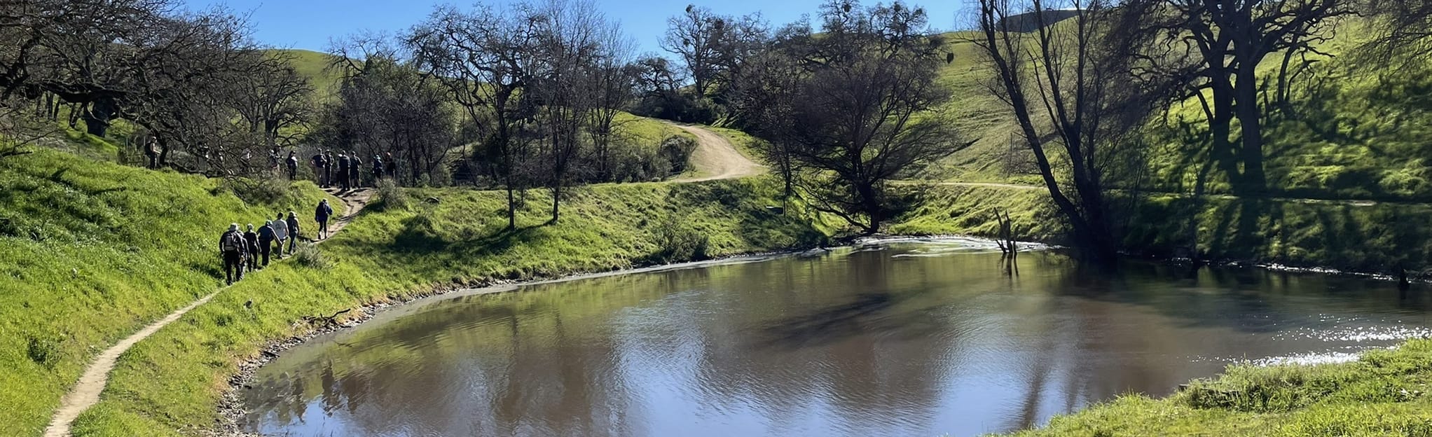 Twin Ponds Loop: 397 Reviews, Map - California | AllTrails