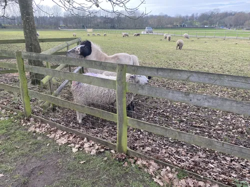 Best Hikes and Trails in Sandwell Park Farm | AllTrails