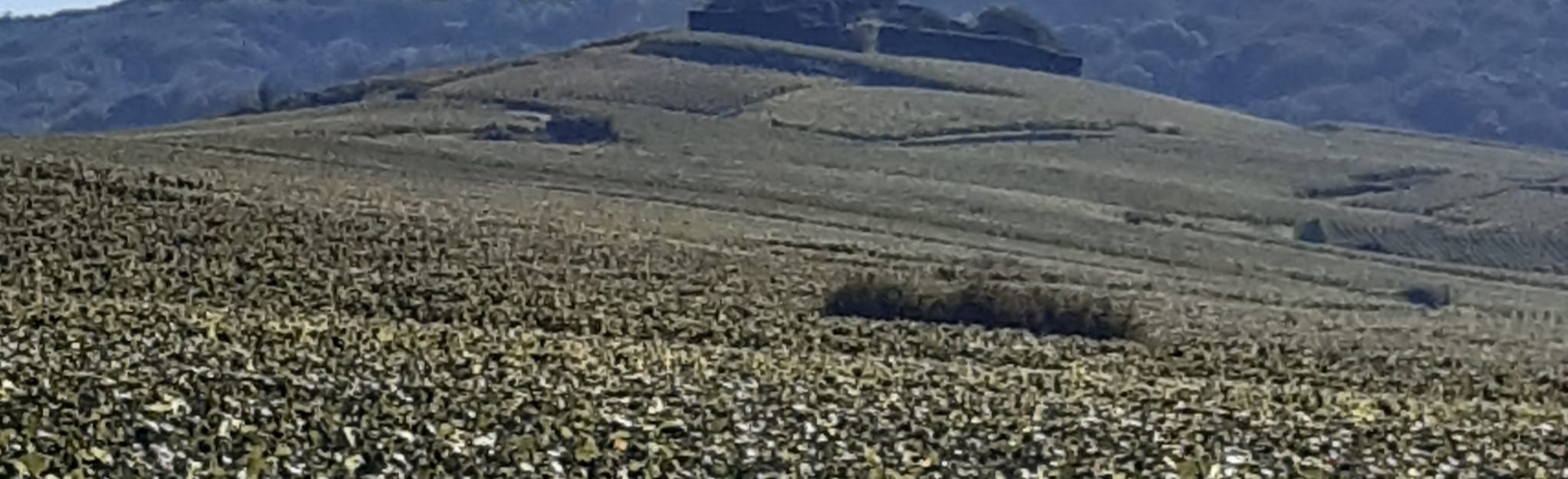 GR®654 Section 2: From Reims to Blaise-sous-Arzillières: 5 Reviews, Map ...