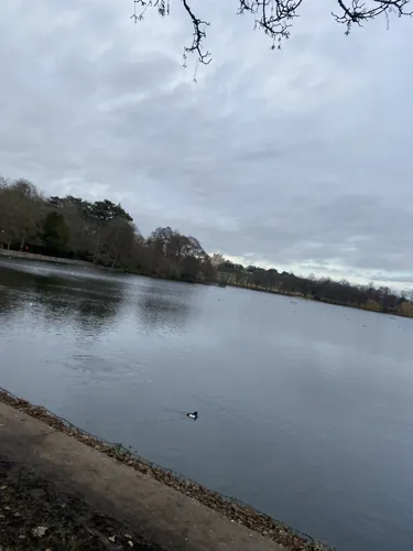 Best Hikes and Trails in Bramcote Hills Park | AllTrails