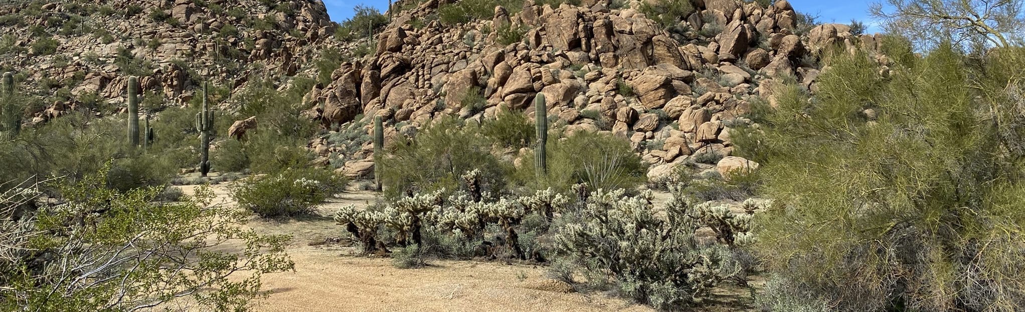 Pyramid Peak MTB Route, Arizona - 320 Reviews, Map | AllTrails