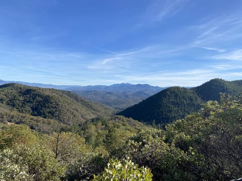 Best Hikes and Trails in Jacksonville Forest Park | AllTrails